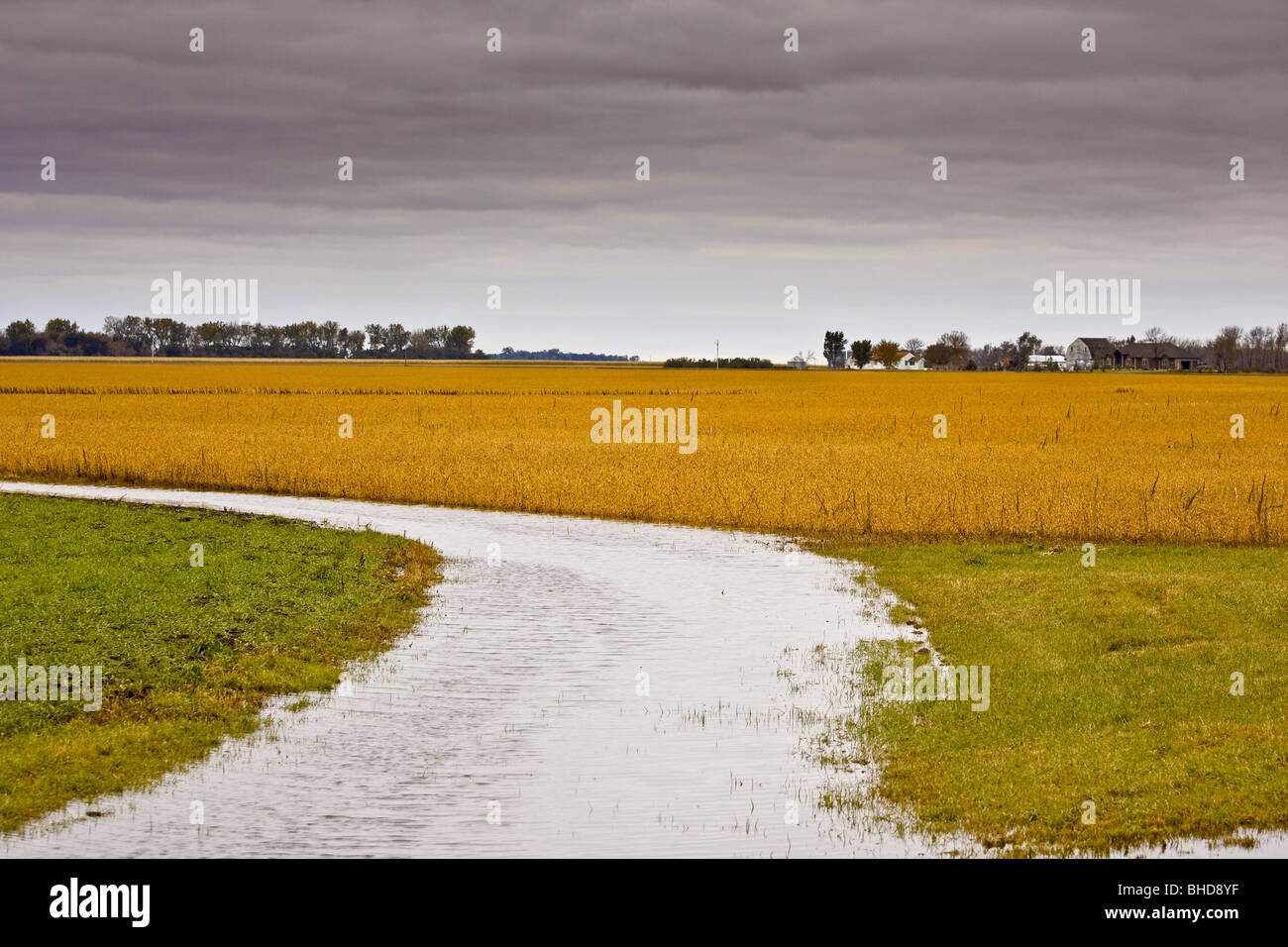 river flowing through farm Stock Photo - Alamy