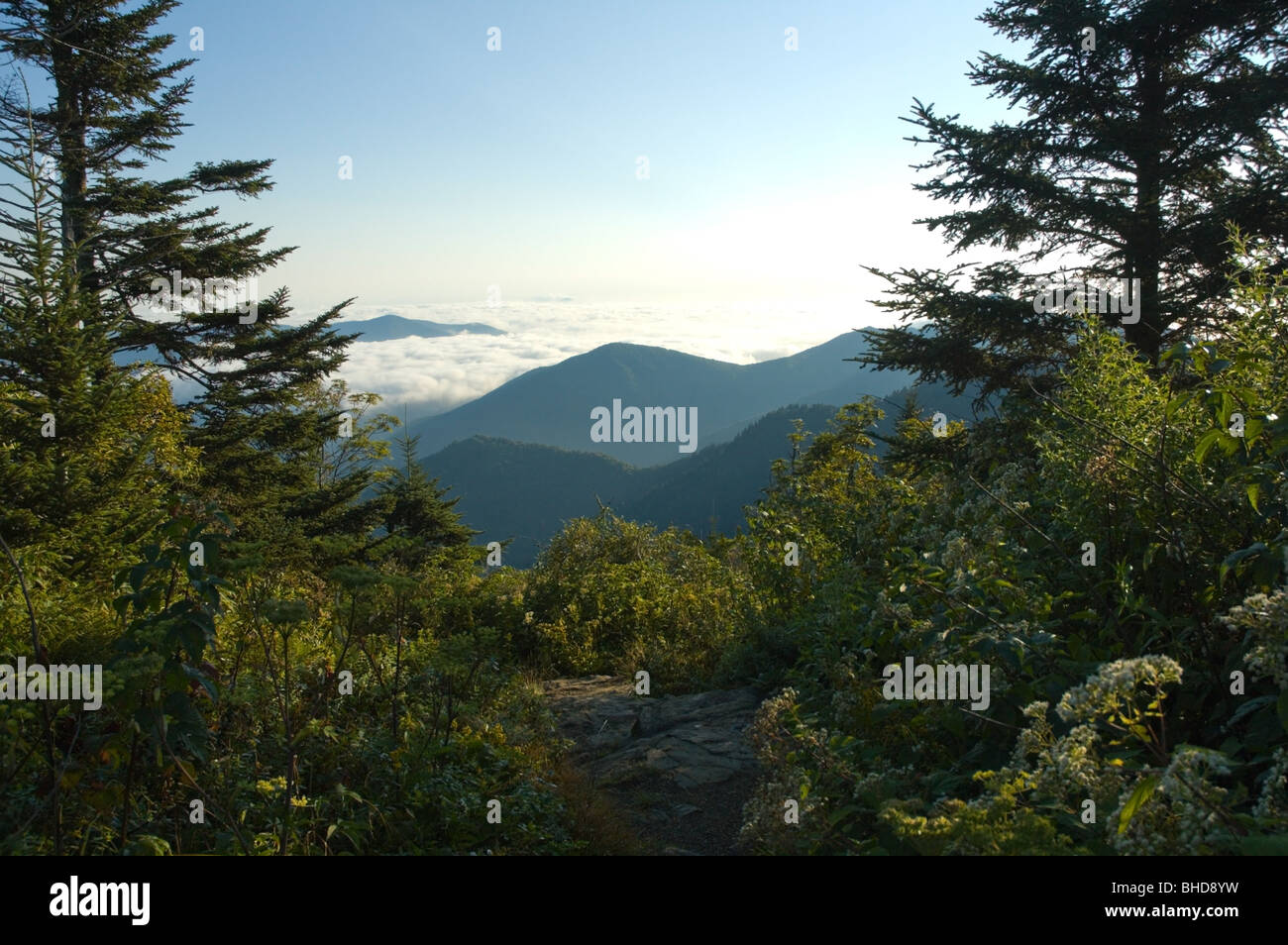 Appalachian waterrock knob hi-res stock photography and images - Alamy