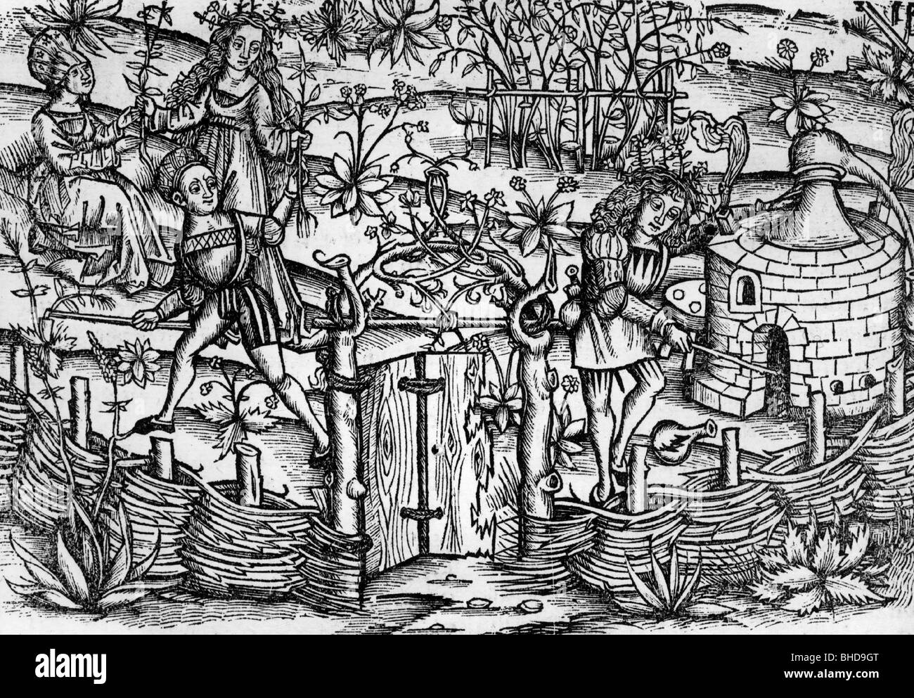Medieval alchemy hi-res stock photography and images - Alamy