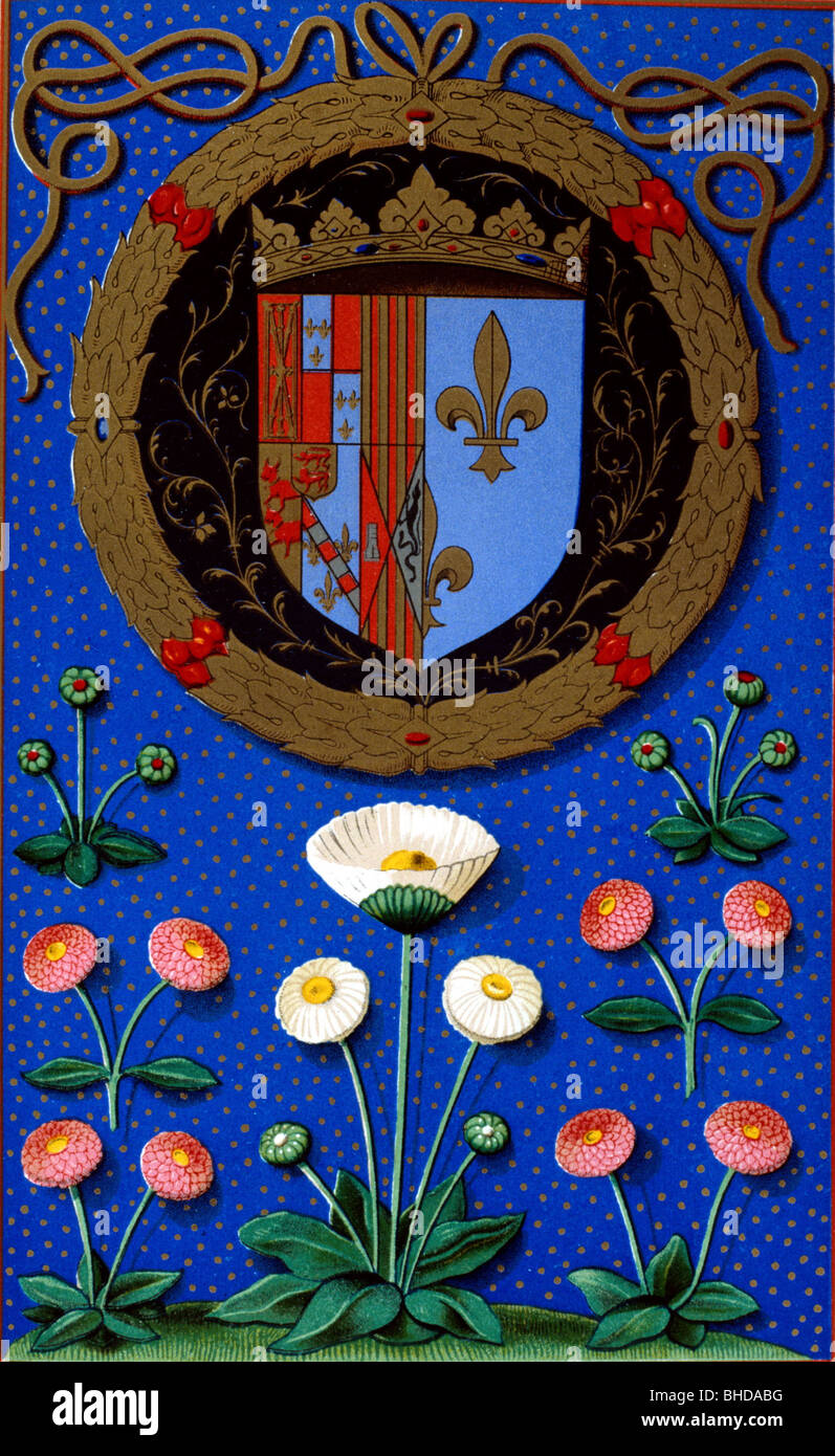 Heraldry Coat Arms France Coat High Resolution Stock Photography and ...