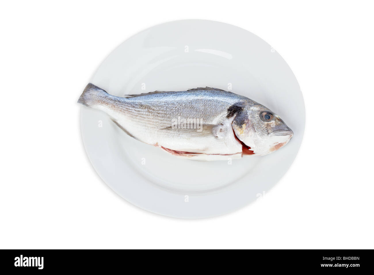 Fresh fish in the plate isolated on white background Stock Photo - Alamy