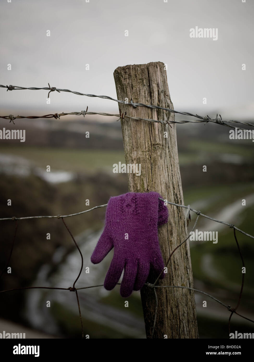 Mauvre hi-res stock photography and images - Alamy