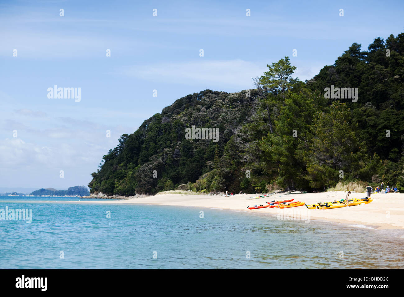 Abel Tasman National Park, South Island, New Zealand Stock Photo - Alamy