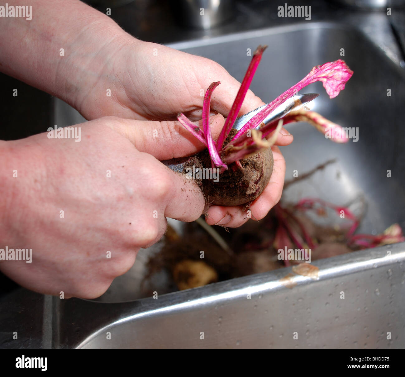 Beetroot cooking hi-res stock photography and images - Alamy