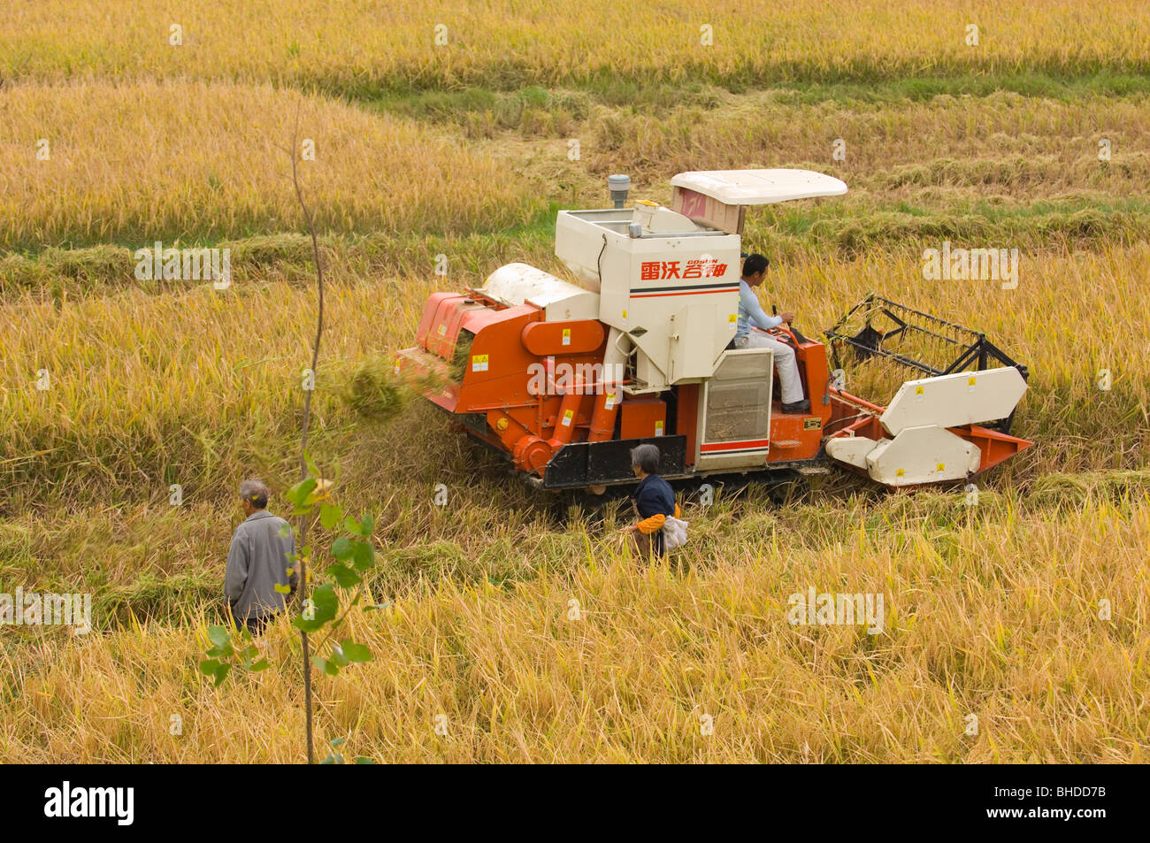 Agriculture china combine hi-res stock photography and images - Alamy