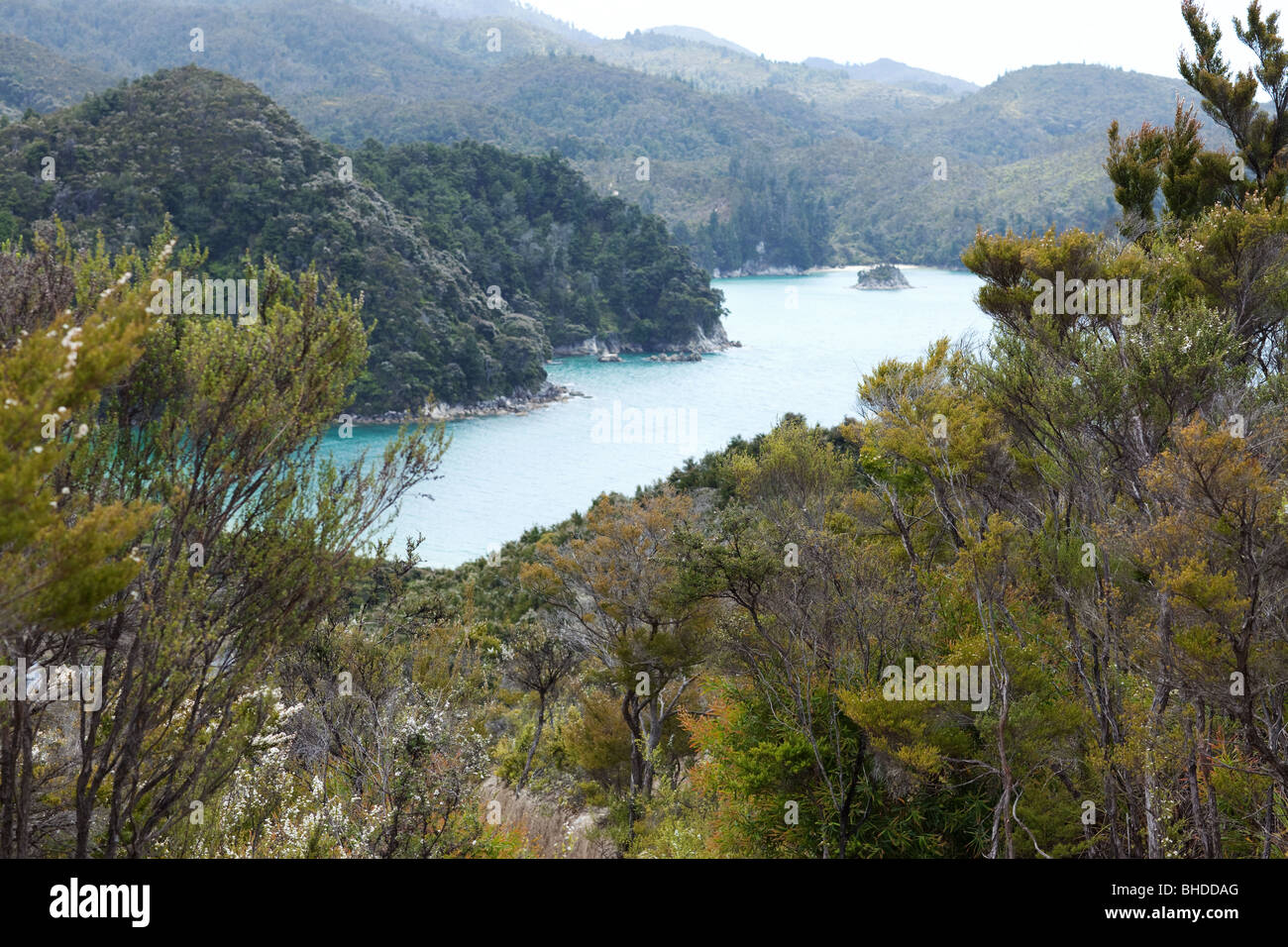 Abel Tasman National Park, South Island, New Zealand Stock Photo - Alamy