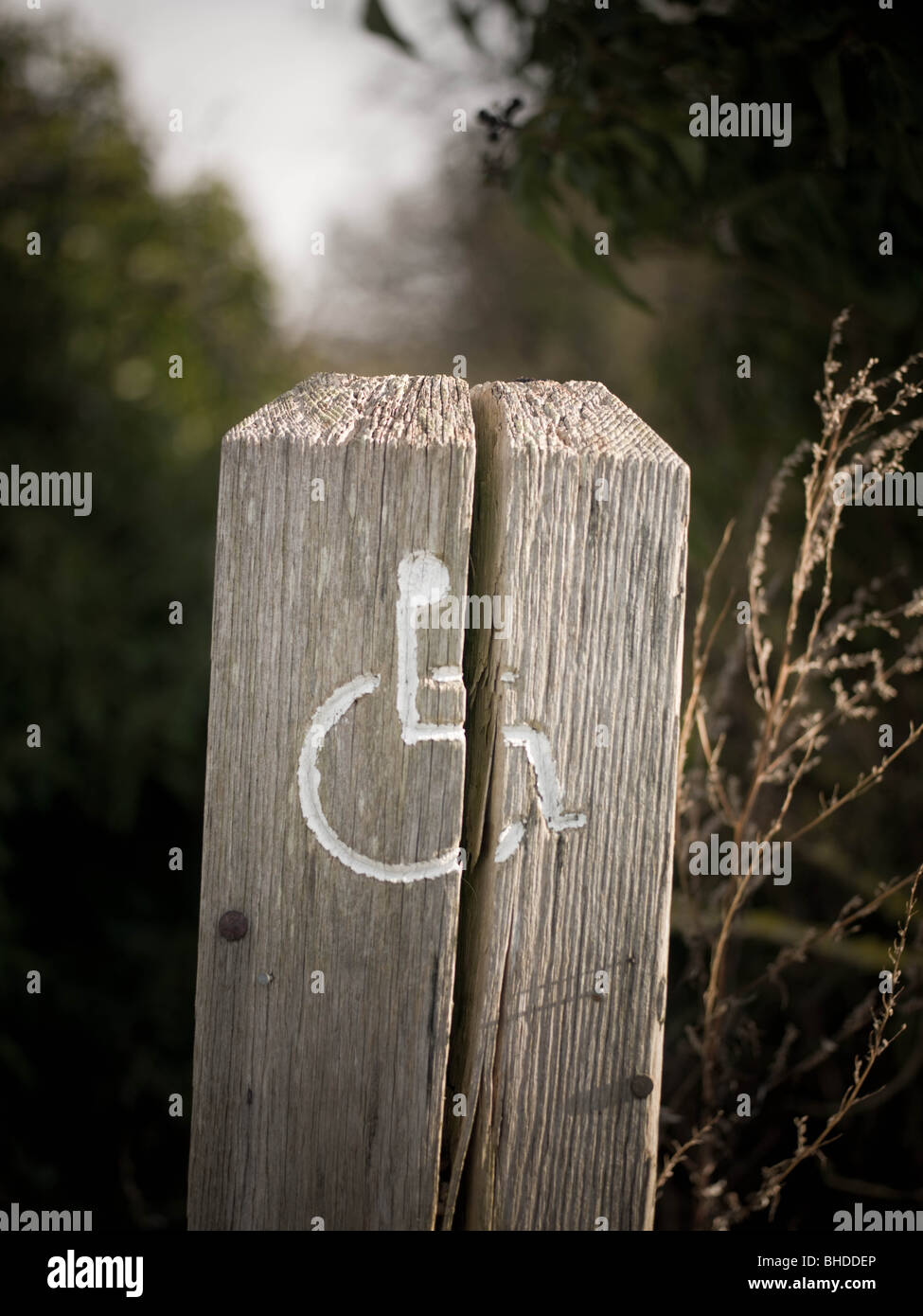 A wooden disabled sign in the countryside Stock Photo - Alamy
