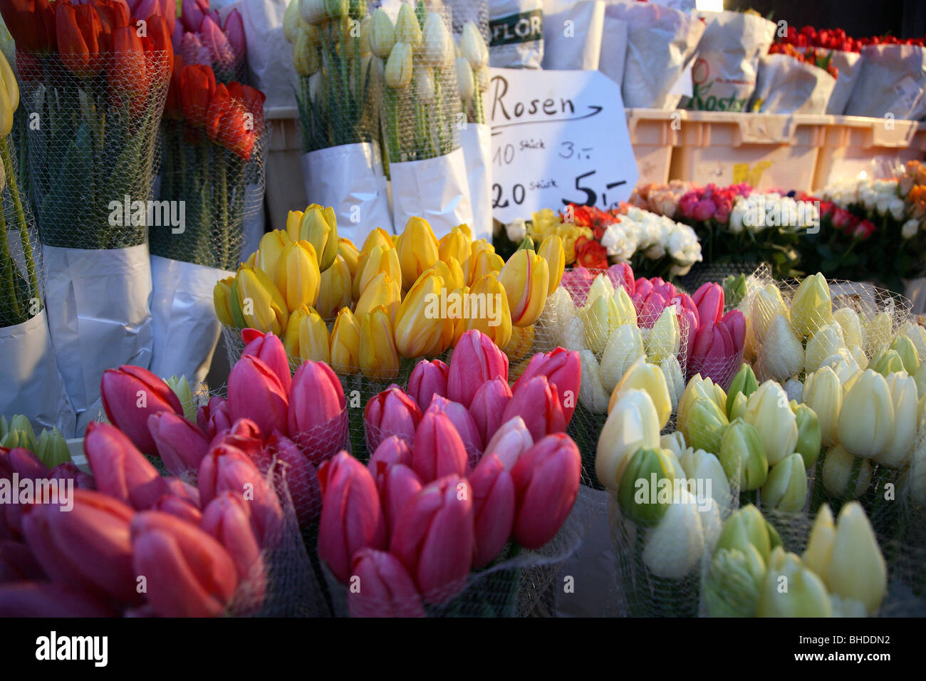 Plants street market stall hi-res stock photography and images - Alamy
