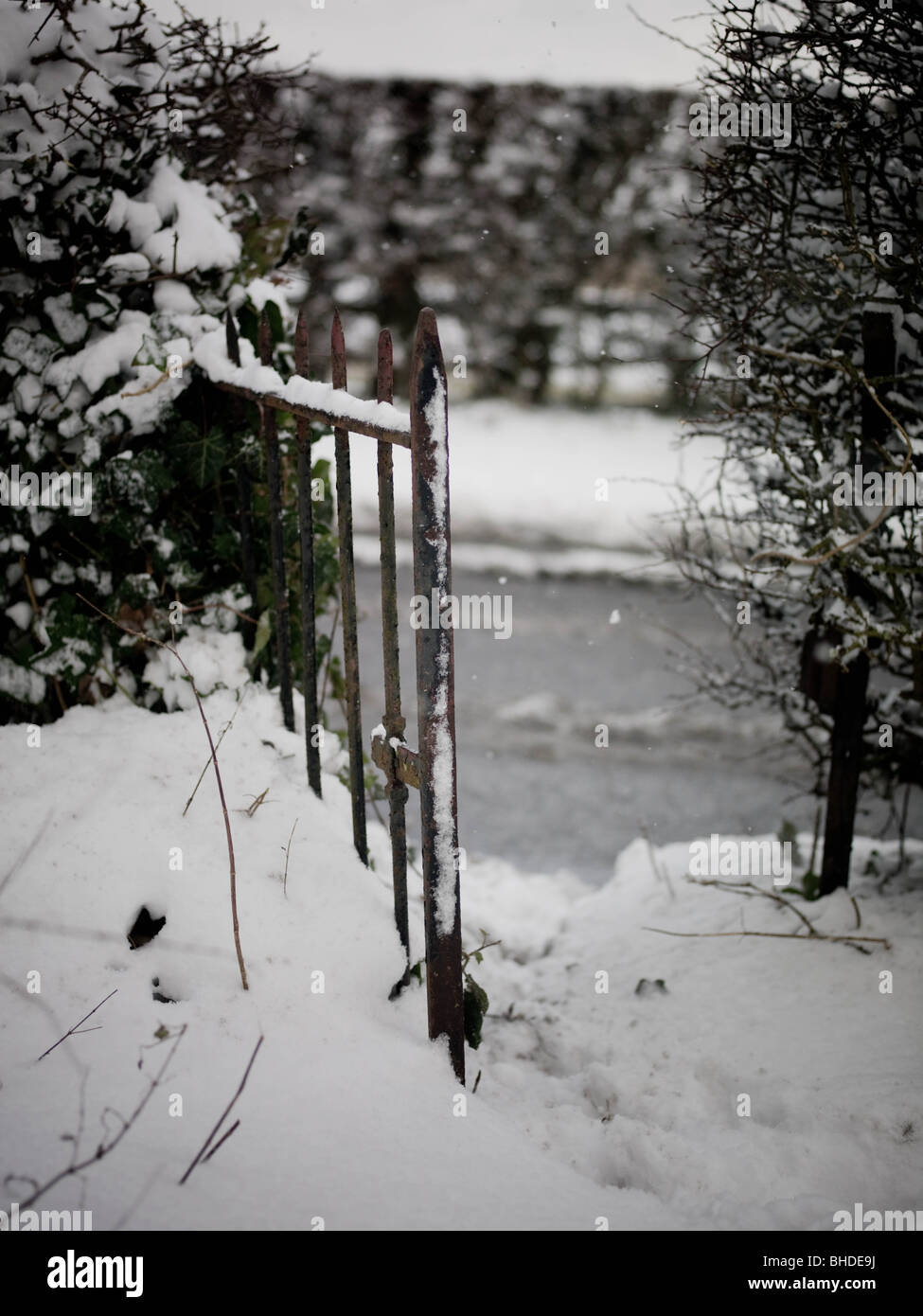 An open iron gate in the snow Stock Photo - Alamy