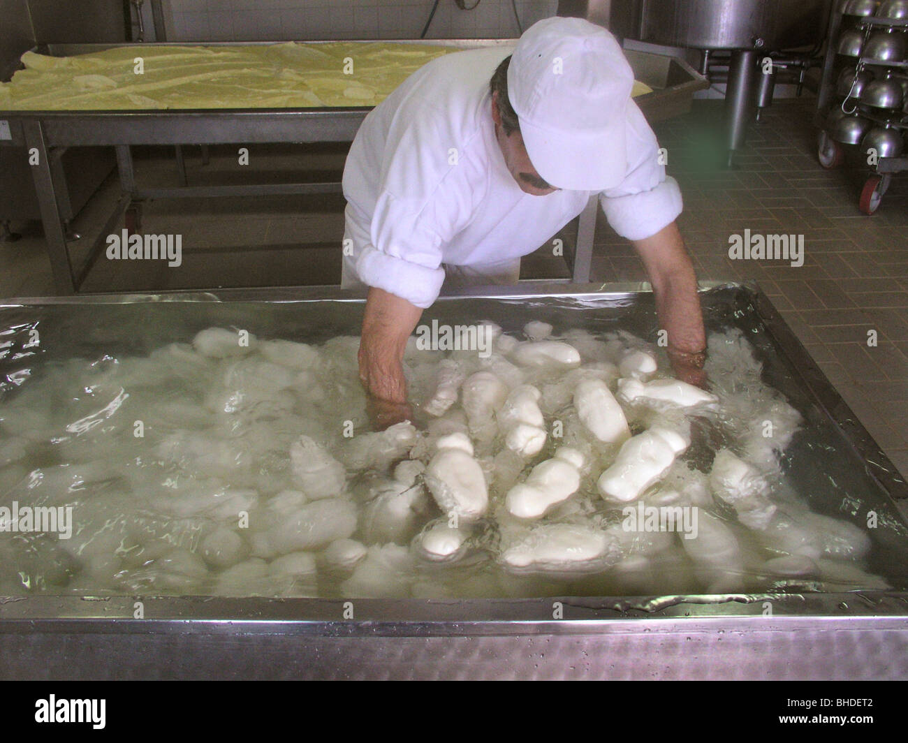 Italian cheese maker artisan fresh mozzarella water bath Italy dairyman ...