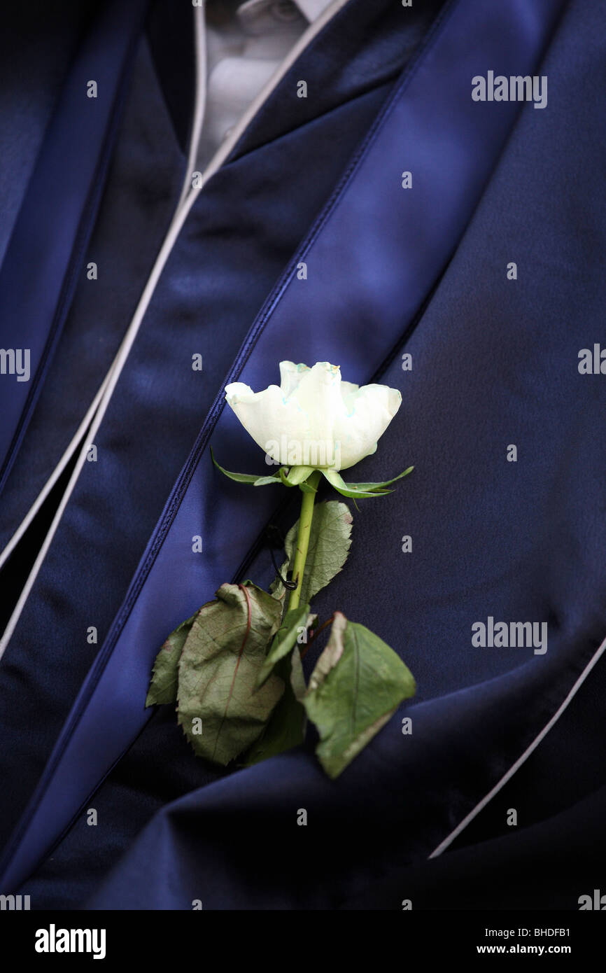 White rose in a graduation robe Stock Photo - Alamy