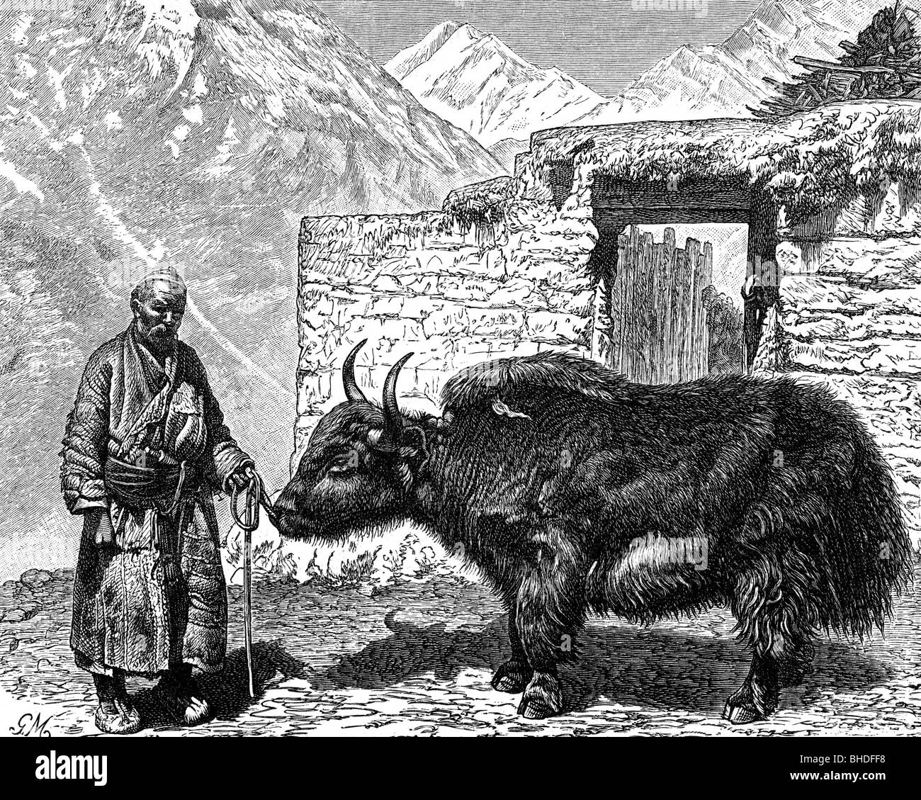 Tame people Black and White Stock Photos & Images - Alamy