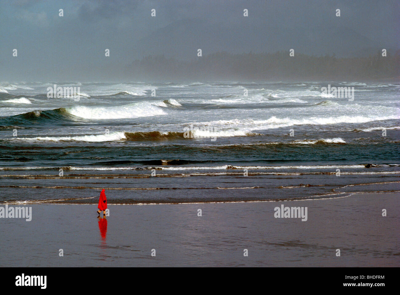 Pacific Rim National Park Reserve, Vancouver Island, BC, British ...