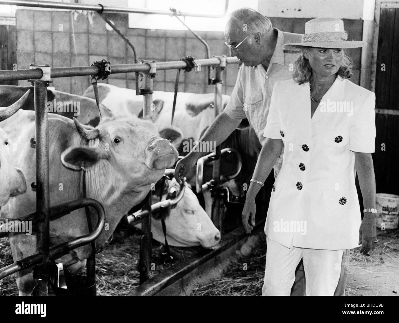 Politician with cow hi-res stock photography and images - Alamy