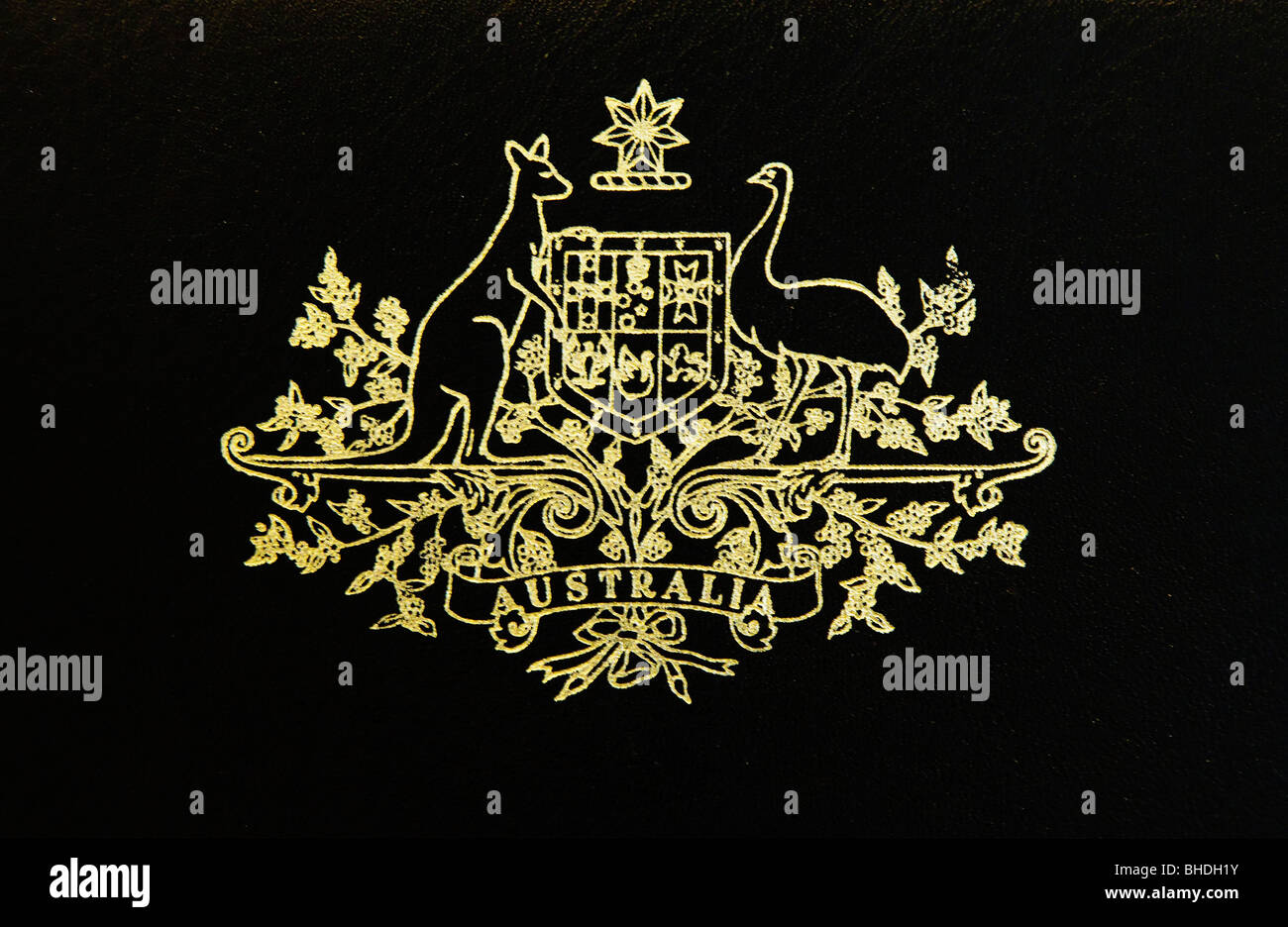 Emu and kangaroo on the australian coat of arms hi-res stock ...