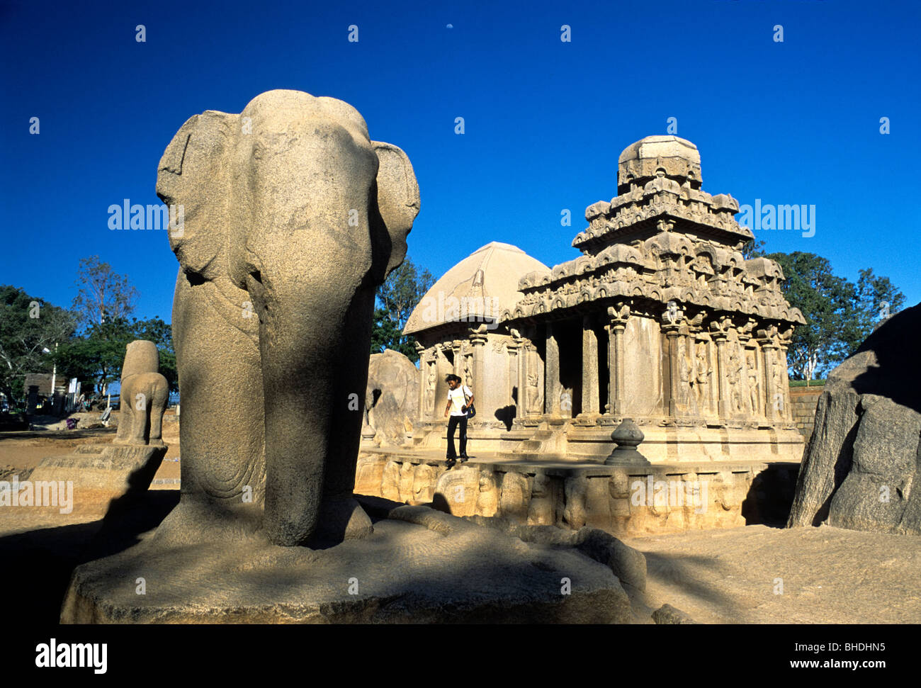 Elephant and Arjuna Ratha in Mahabalipuram, Tamil Nadu Stock Photo - Alamy