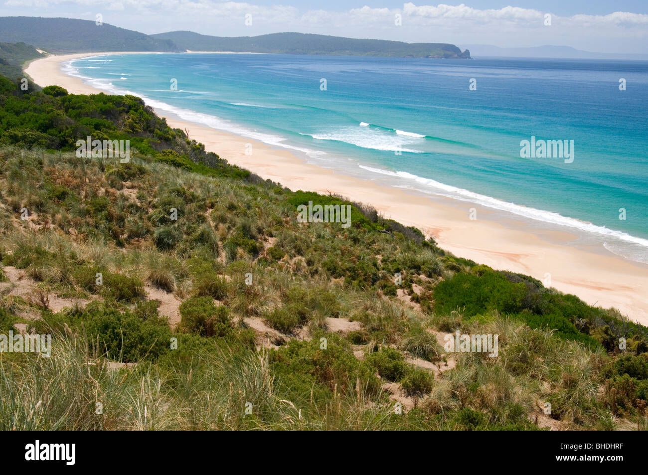 Isthmus Bay from The Neck, Bruny Island, Tasmania, Australia Stock ...