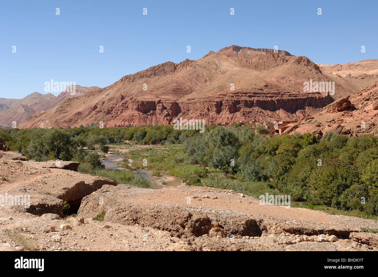 An Oasis in Morocco Sahara Desert Stock Photo - Alamy