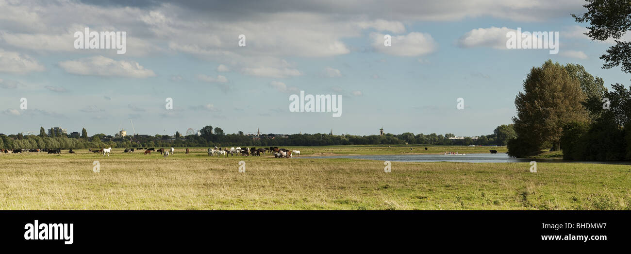 Panoramic view of Port Meadow and River Thames in Oxford, Uk Stock ...