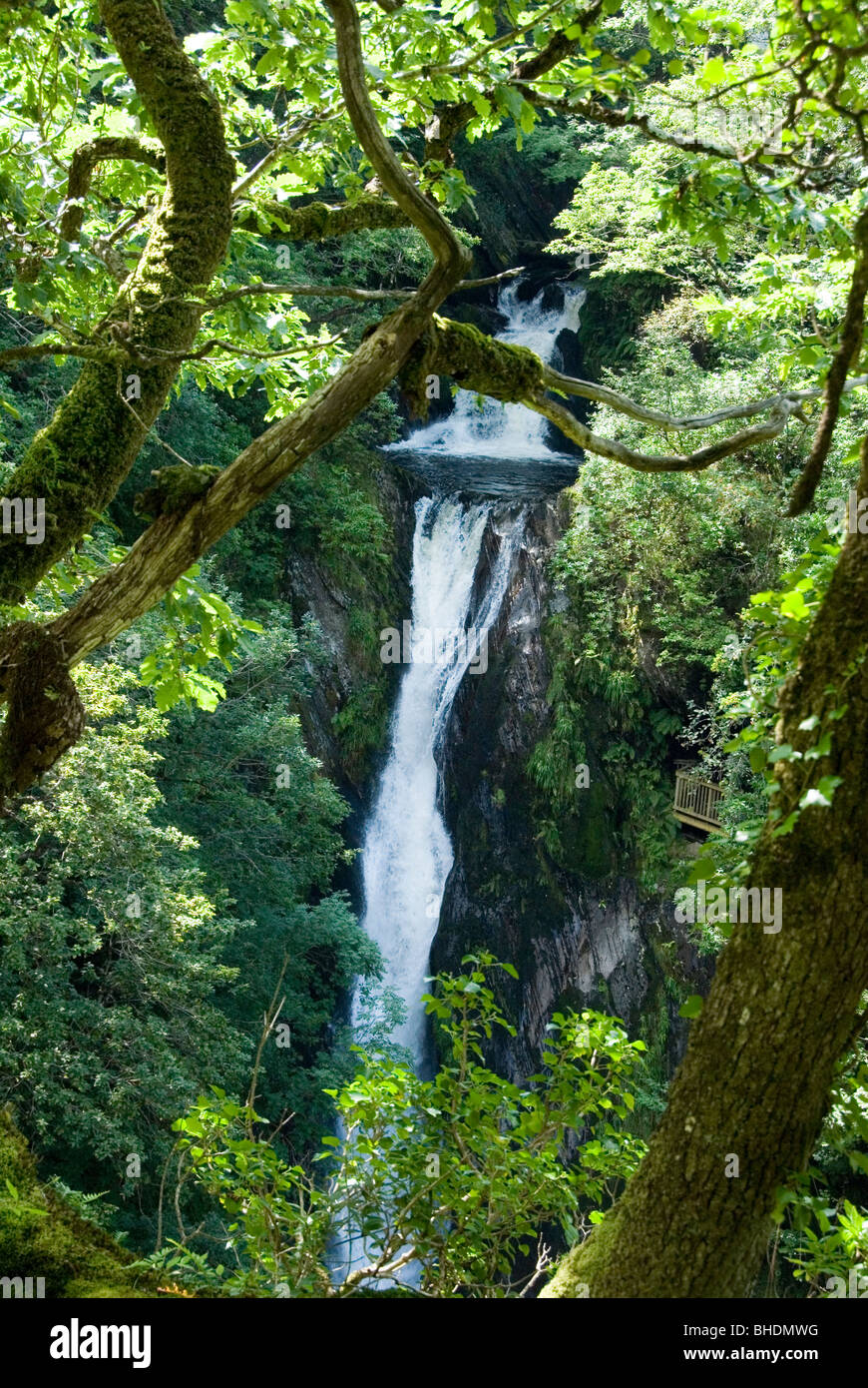 Detail of Devil's Bridge Waterfalls Framed by Tree Branches, nr ...