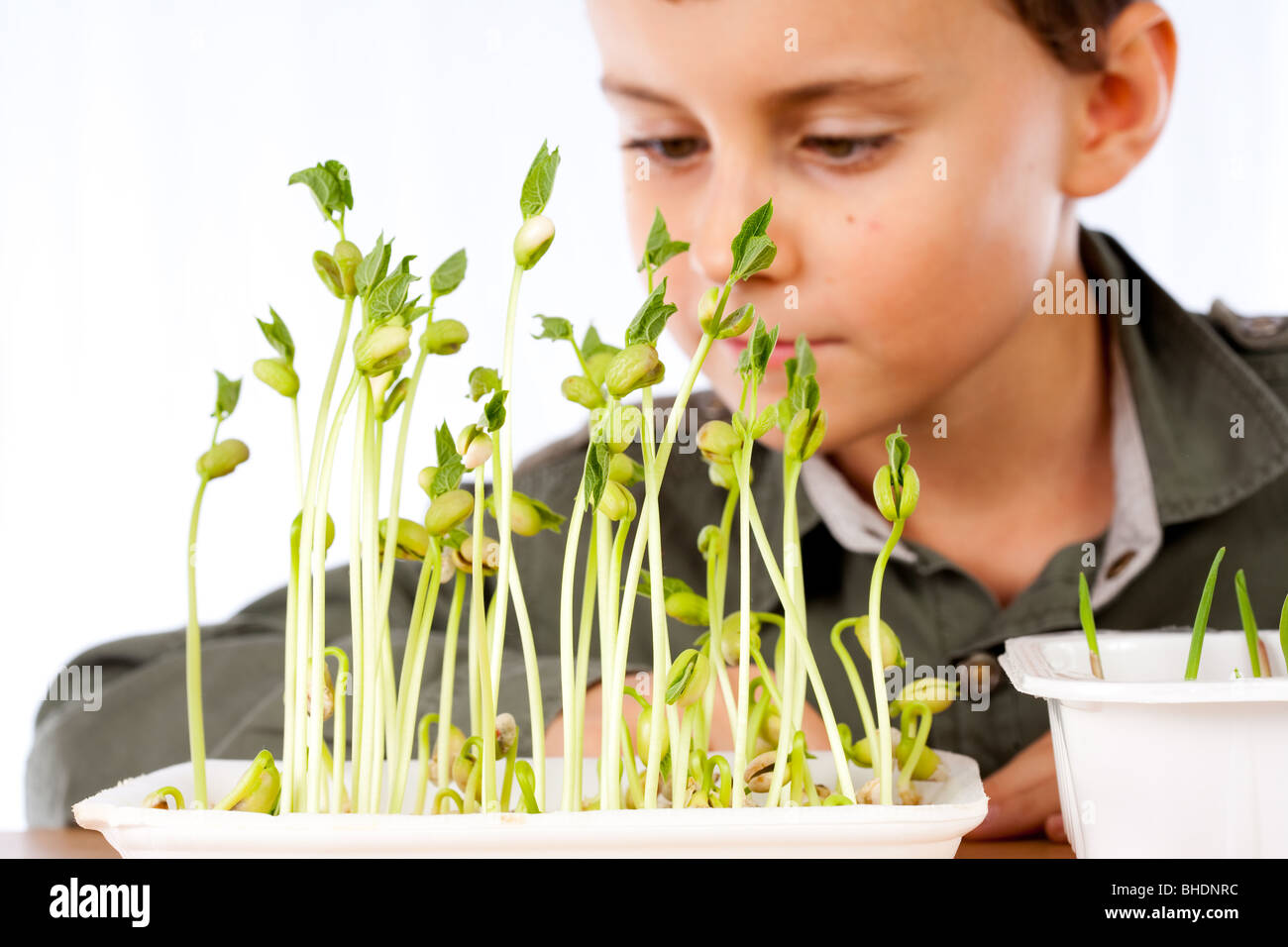 Close-up portrait of a cute kid at a practical biology lesson Stock ...