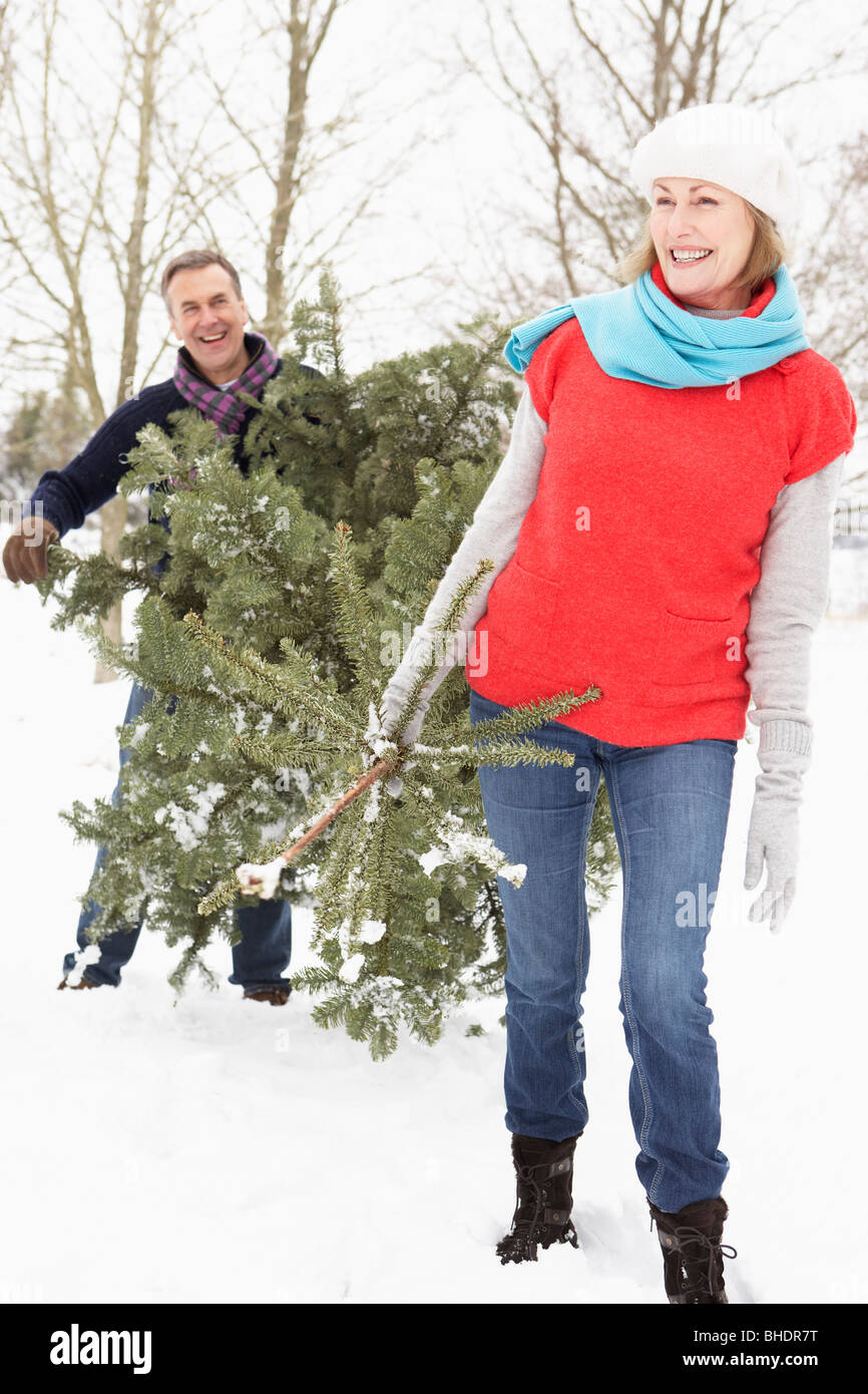 Senior Couple Carrying Christmas Tree In Snowy Landscape Stock Photo ...