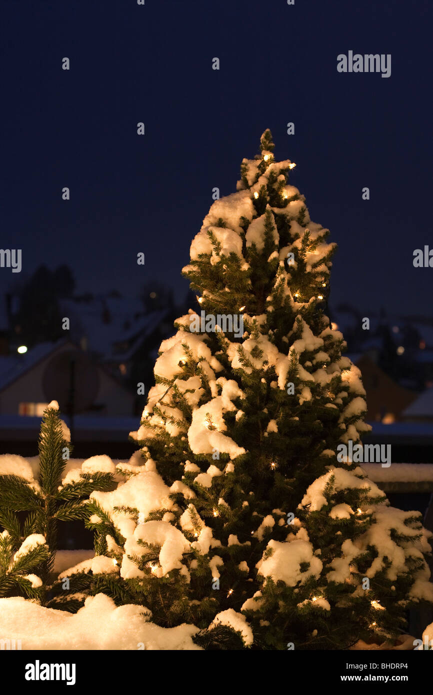 Fir tree snow hi-res stock photography and images - Alamy