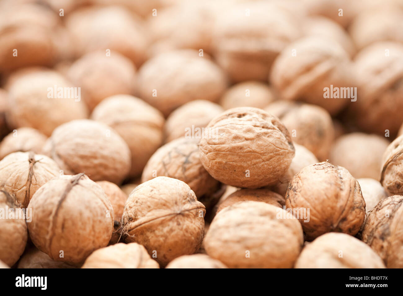 Close-up of a pile of nuts out to dry Stock Photo - Alamy