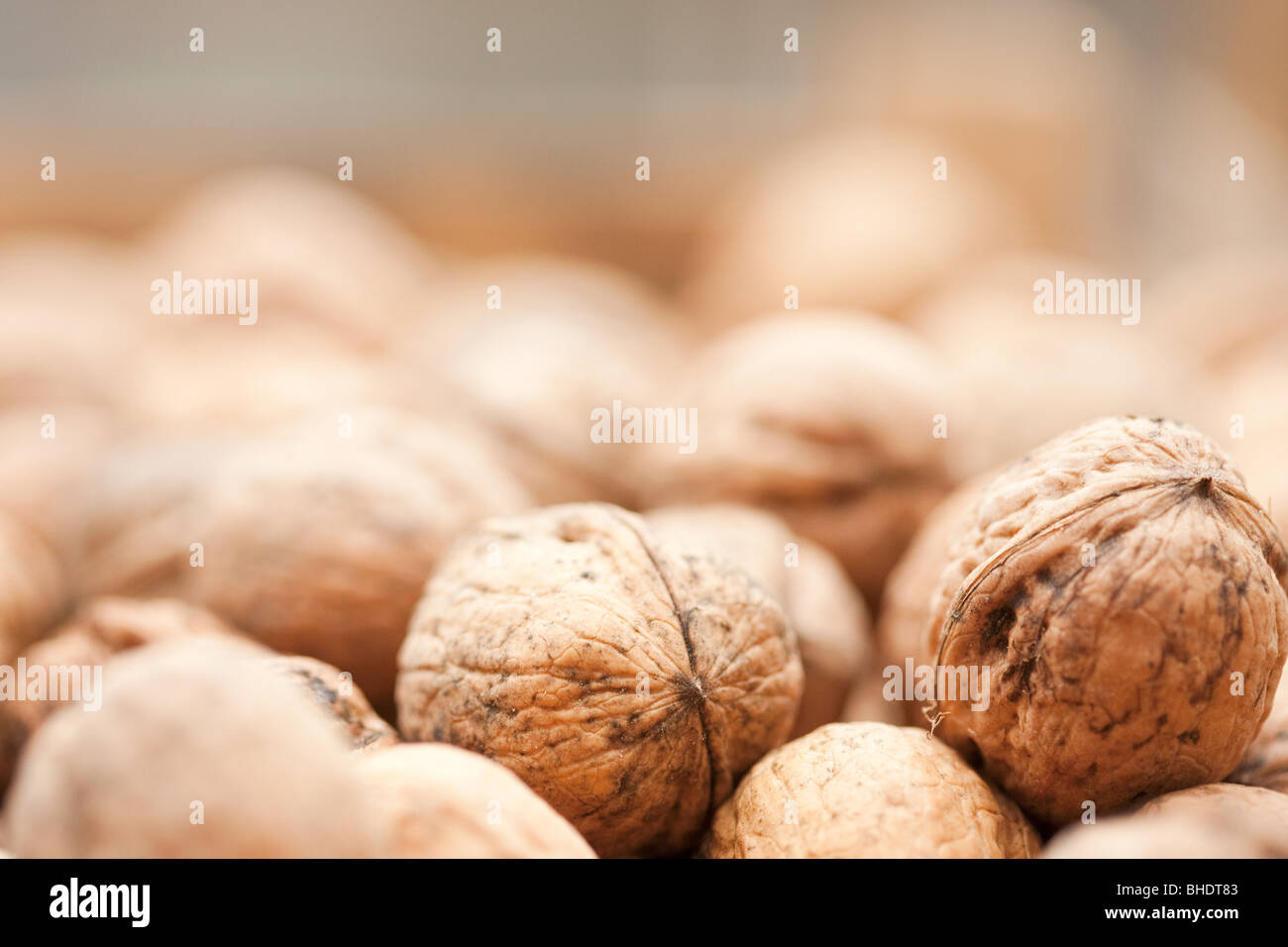 To have a tough nut to crack hi-res stock photography and images - Alamy