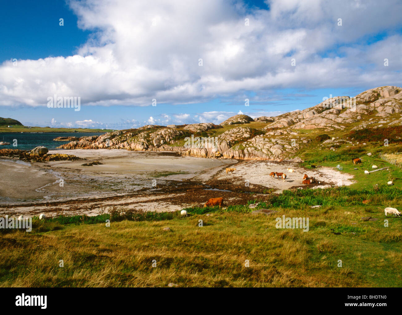 Fionnphort Beach Isle of Mull Stock Photo - Alamy