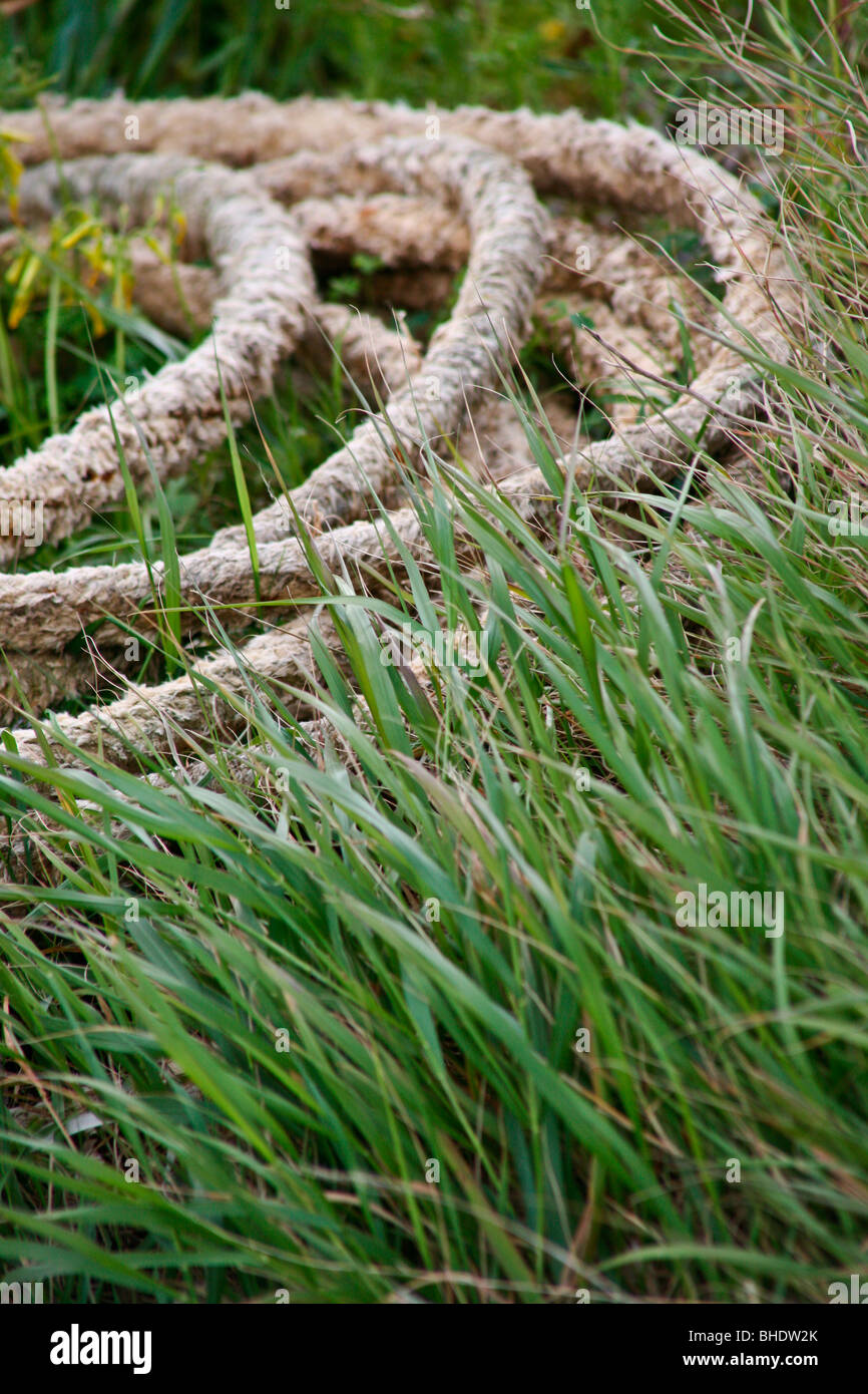 rope in the grass Stock Photo - Alamy