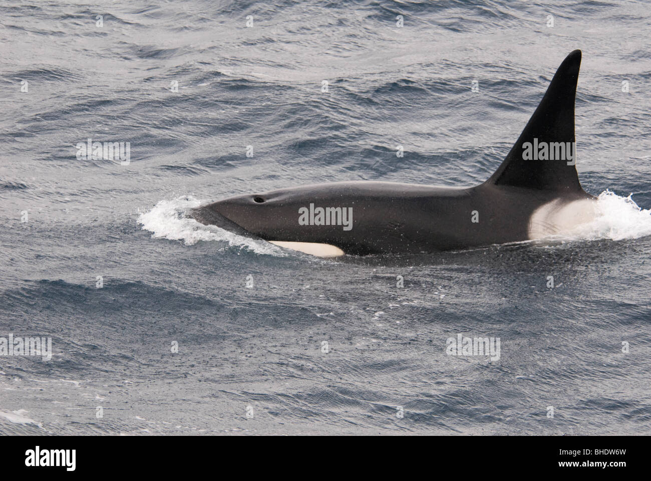 Type b hi-res stock photography and images - Alamy