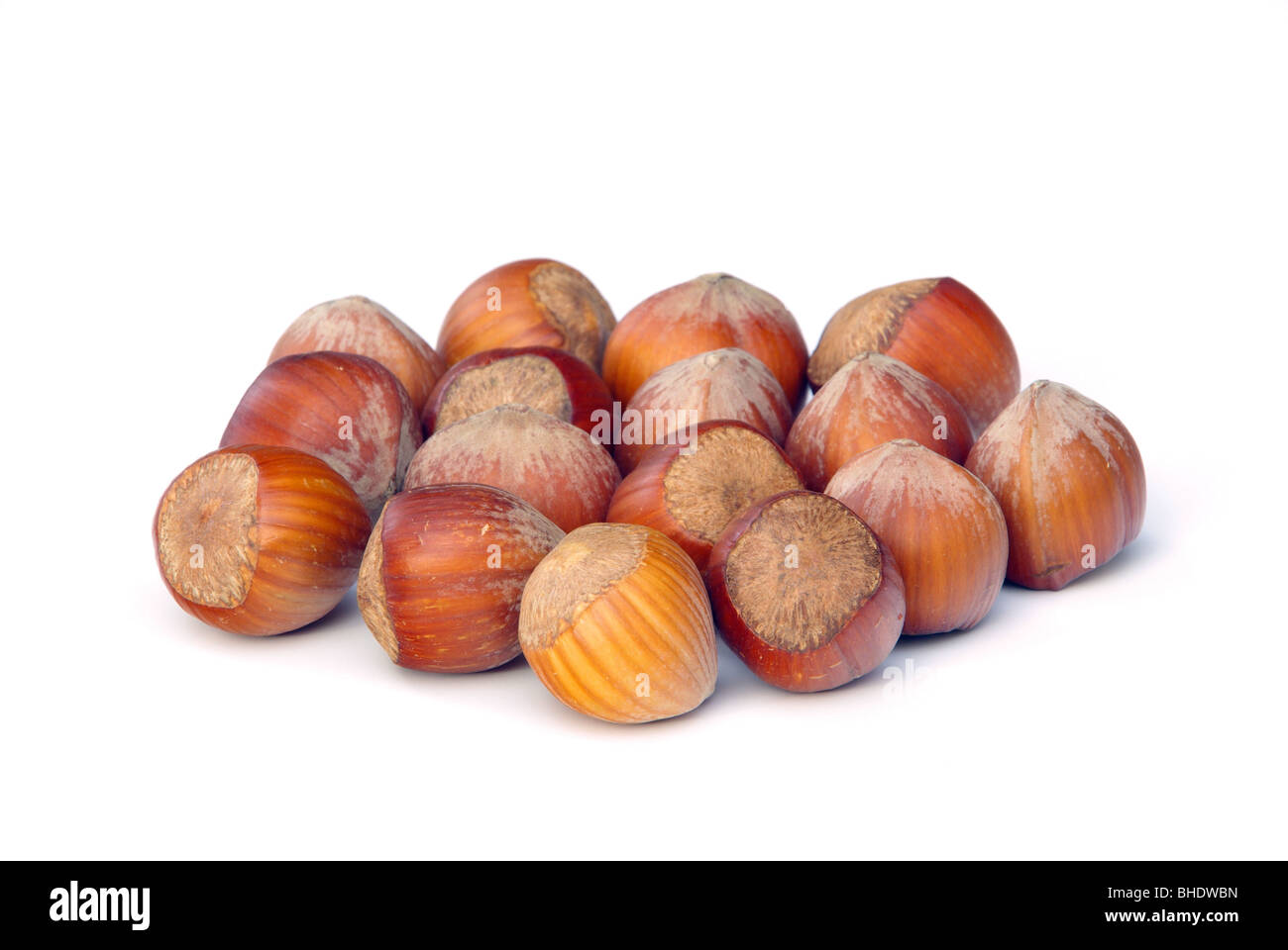 Haselnuss - hazelnut 12 Stock Photo - Alamy