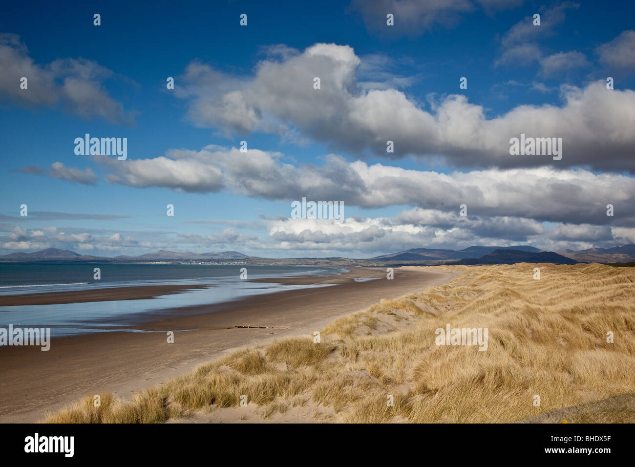 Beach and sand dunes at Harlech, Gwynedd, Wales Stock Photo - Alamy
