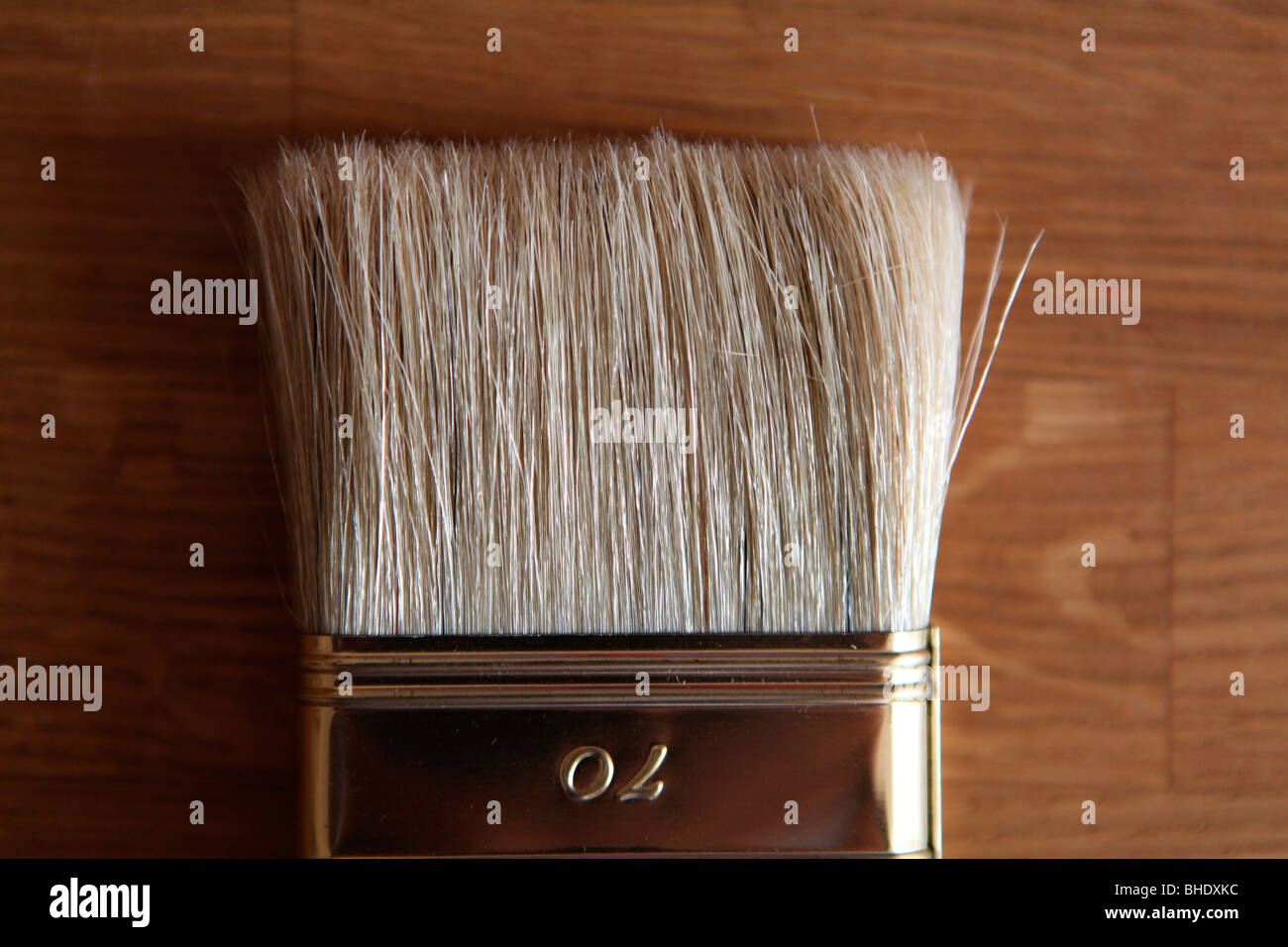 Brush details hi-res stock photography and images - Alamy