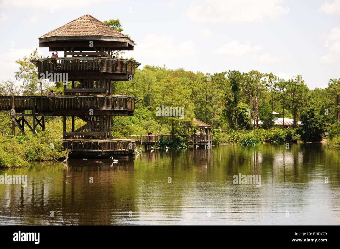 swamp look-out tower in gatorland florida FL orlando Stock Photo - Alamy