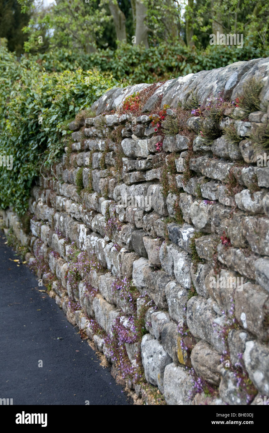 Traditional dry stone walling hi-res stock photography and images - Alamy