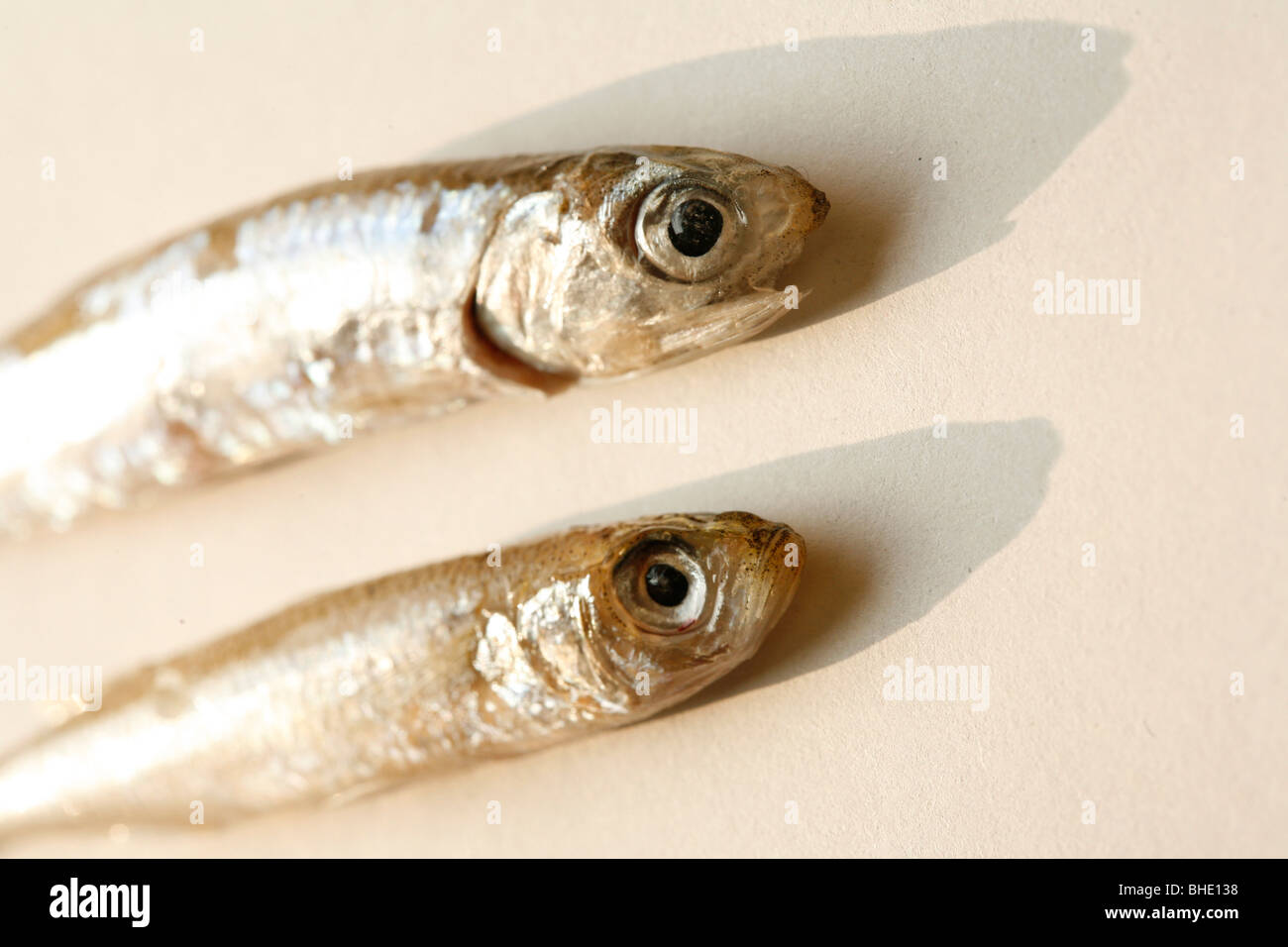 Fresh fish horizontal hi-res stock photography and images - Alamy