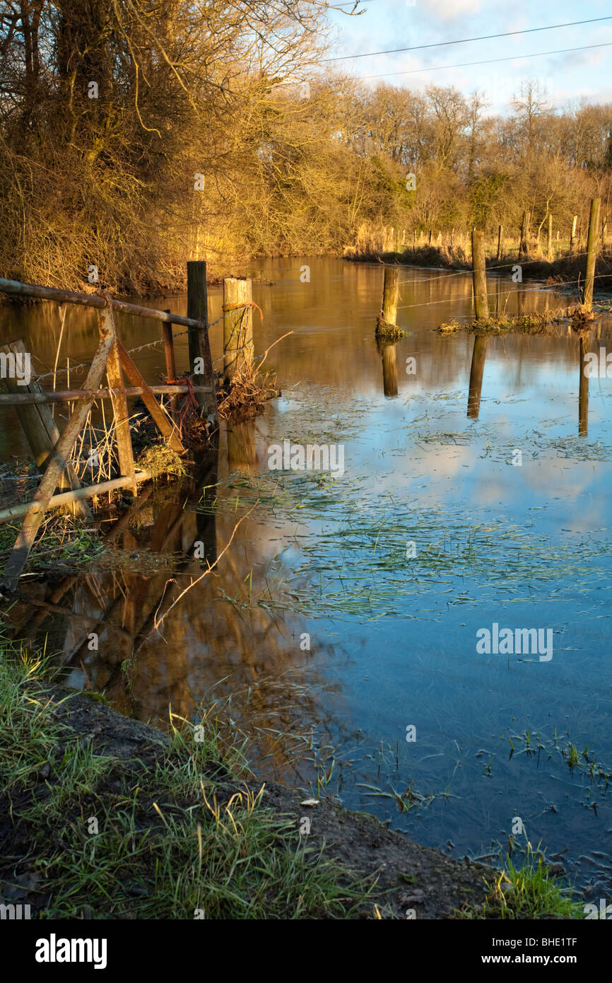 Ewen hi-res stock photography and images - Alamy