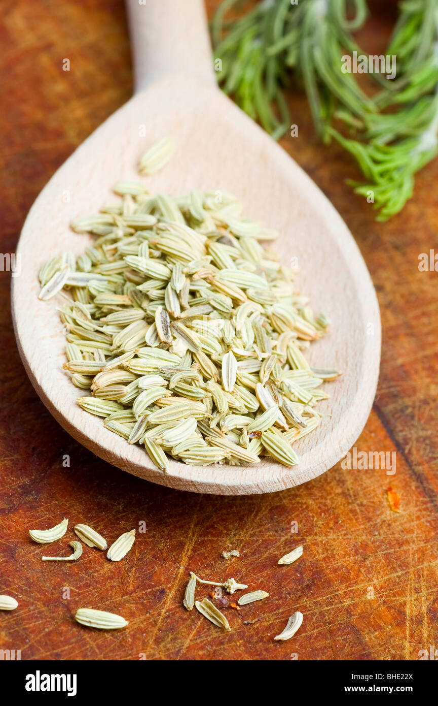 Spice fennel plant hi-res stock photography and images - Alamy