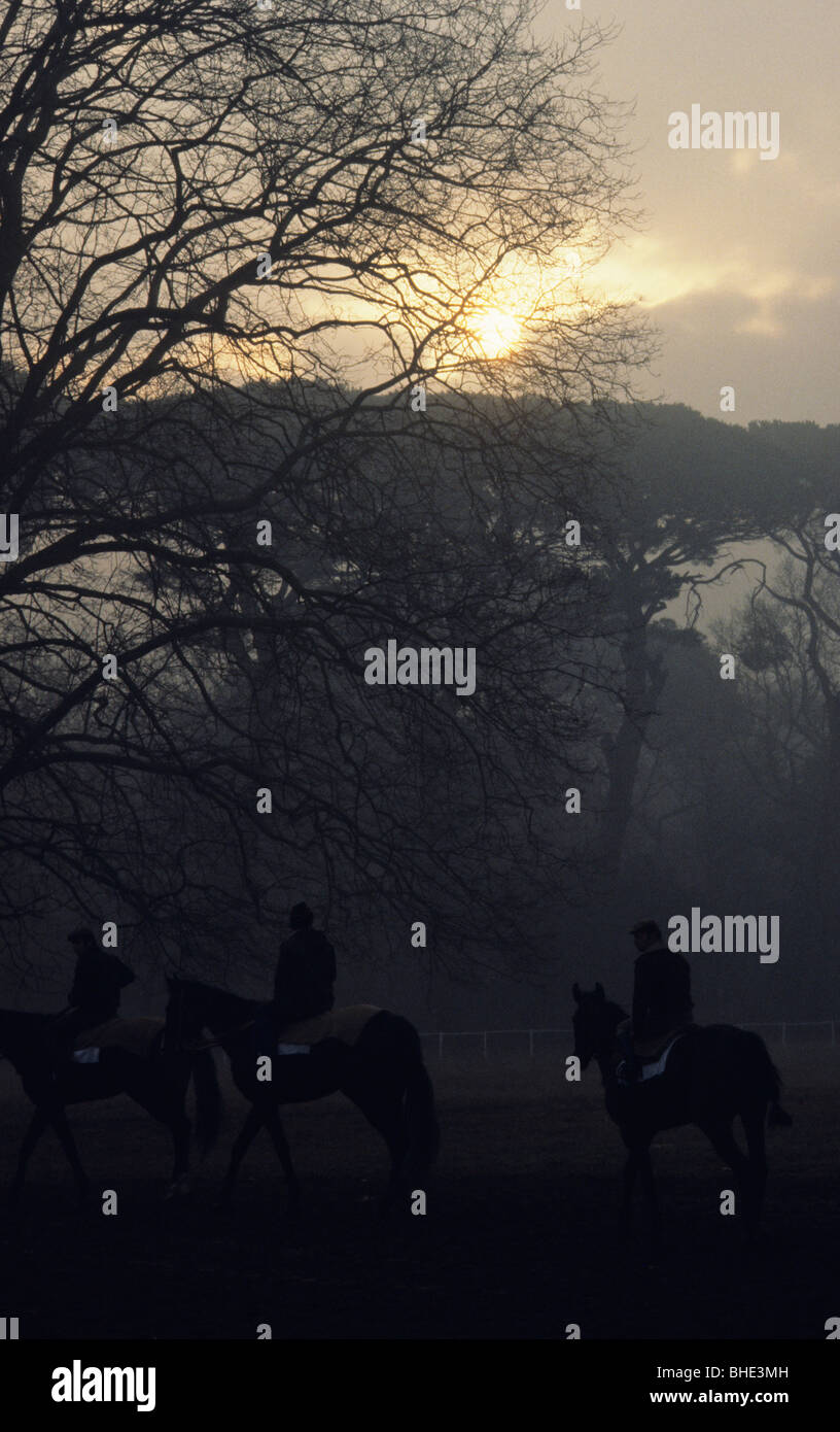 Rossore italy hi-res stock photography and images - Alamy