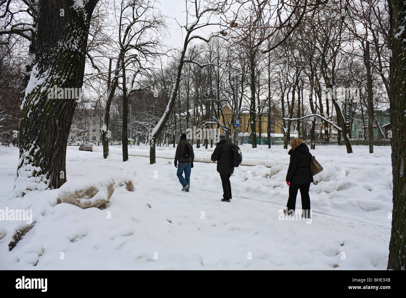 Winter street scenes from Tallinn, Estonia Stock Photo - Alamy