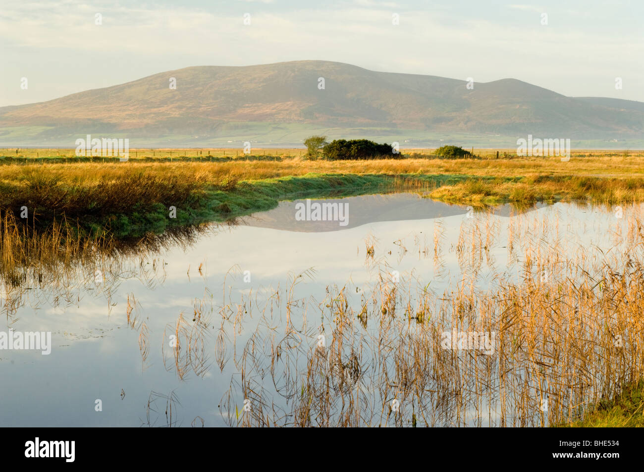 Criffel hi-res stock photography and images - Alamy