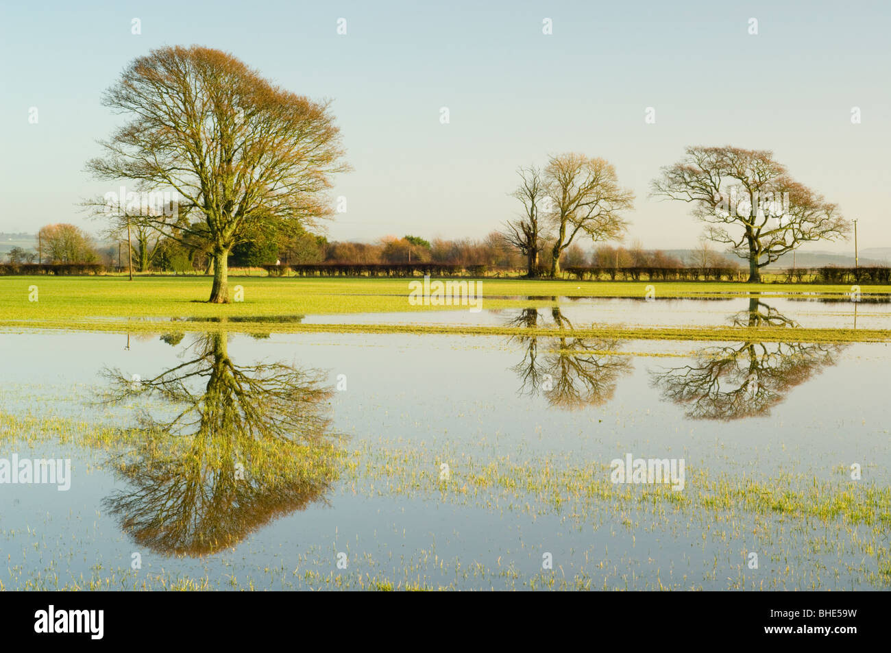 Flooded farmland fields at Eastpark Farm, Caerlaverock Stock Photo - Alamy