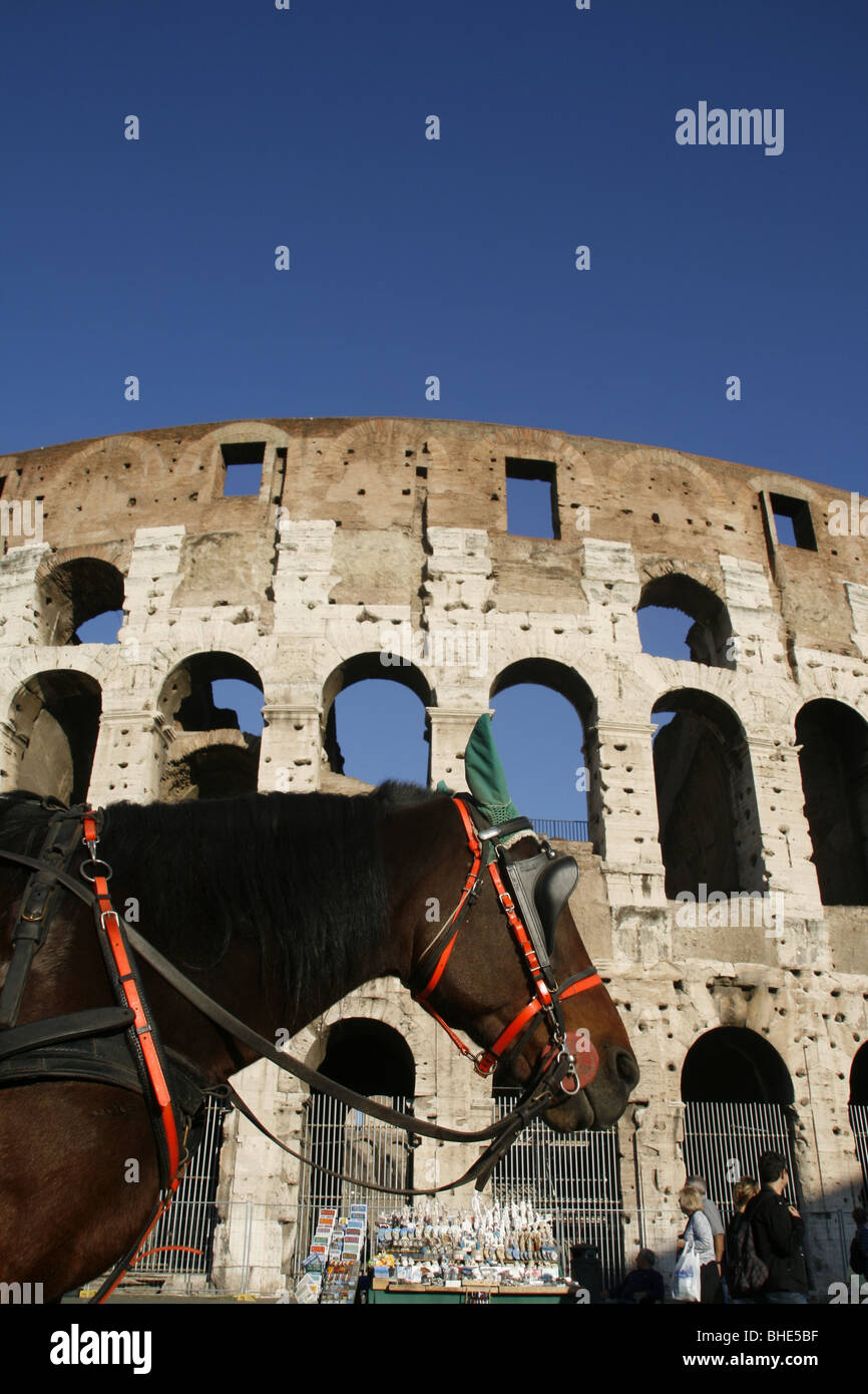 horse and carriage by colosseum, rome, italy Stock Photo - Alamy