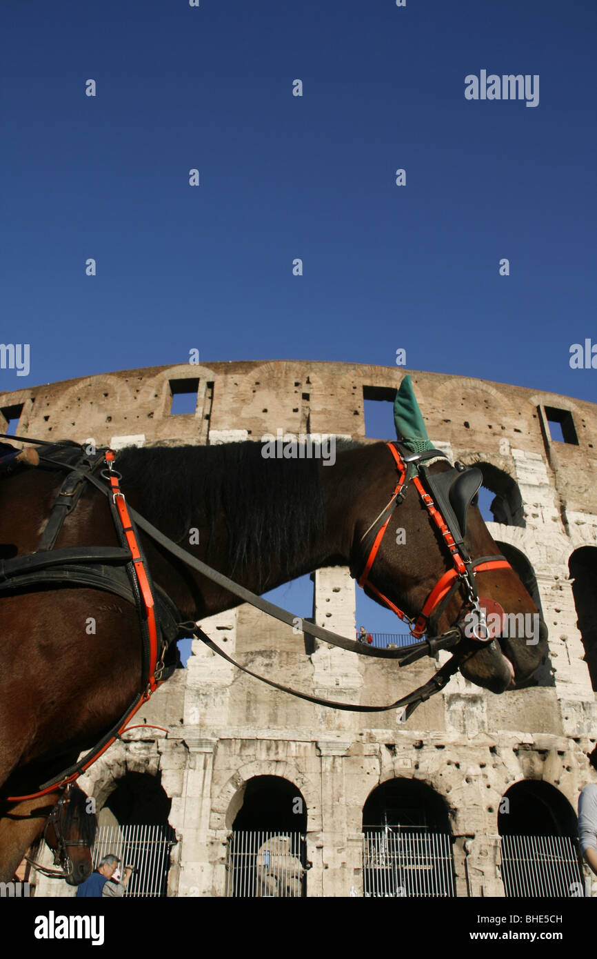 horse and carriage by colosseum, rome, italy Stock Photo - Alamy