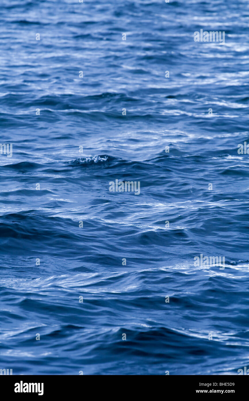 Gentle lapping of waves hi-res stock photography and images - Alamy