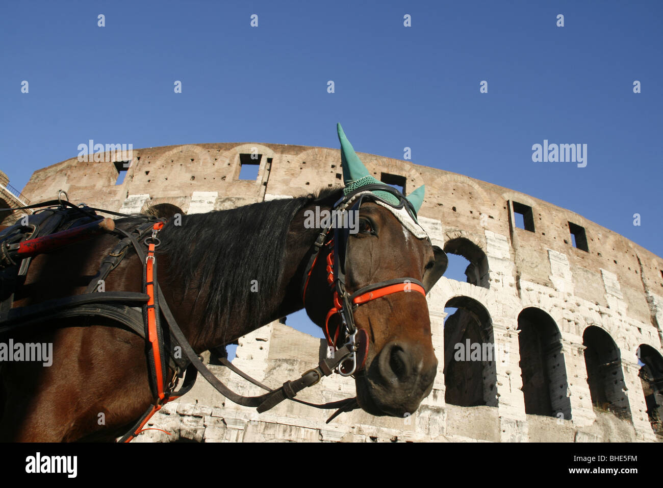 horse and carriage by colosseum, rome, italy Stock Photo - Alamy