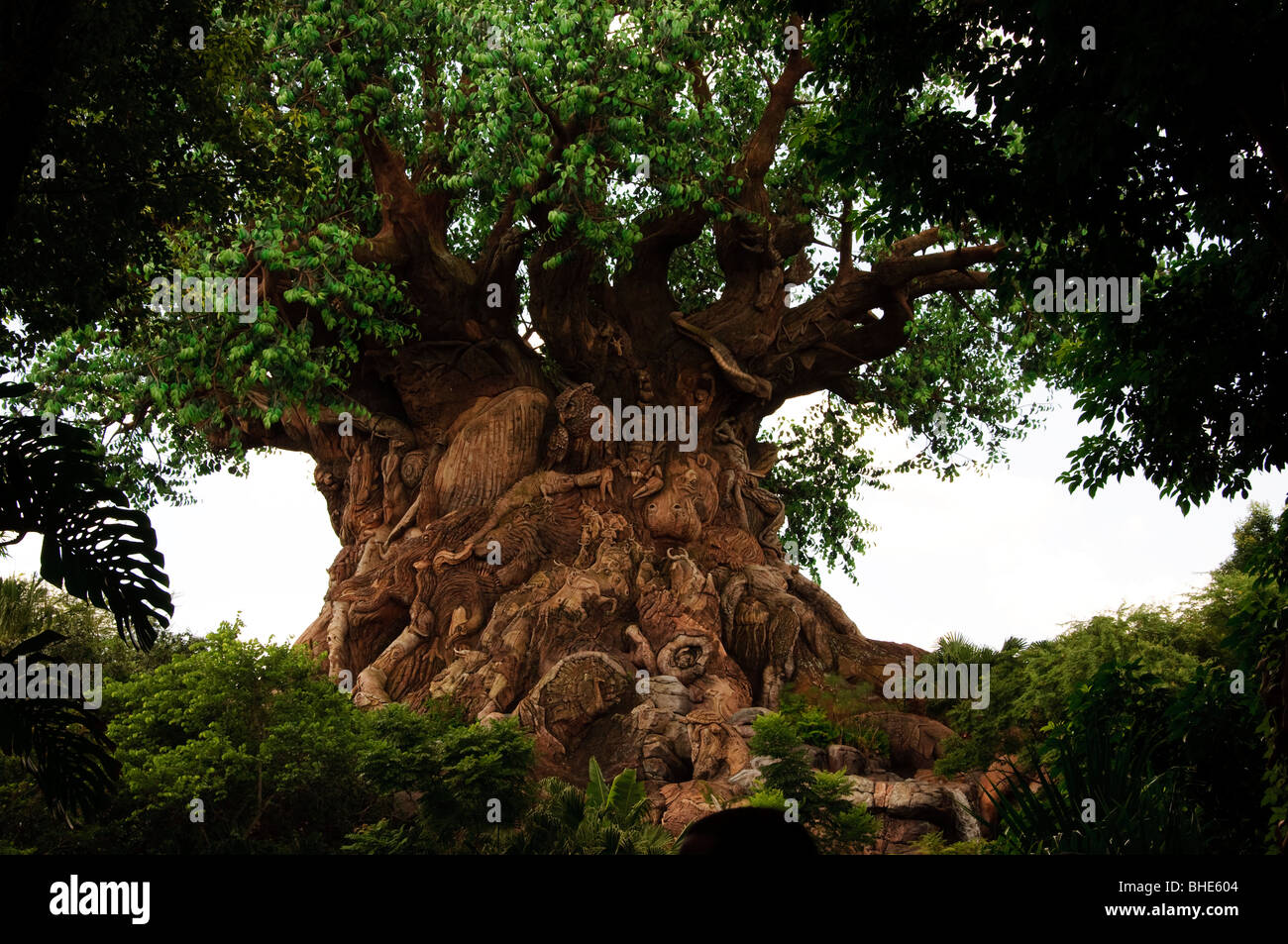tree of life walt disney world florida FL orlando the symbol of the ...