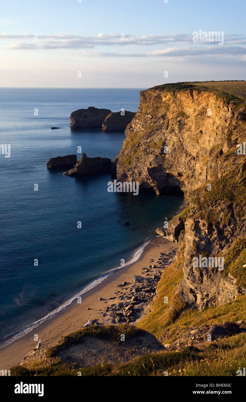 Gull rock portreath hi-res stock photography and images - Alamy